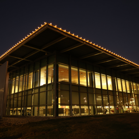 C7 vs C9 Christmas Lights: Which Bulb Size is Best for Your Project ...